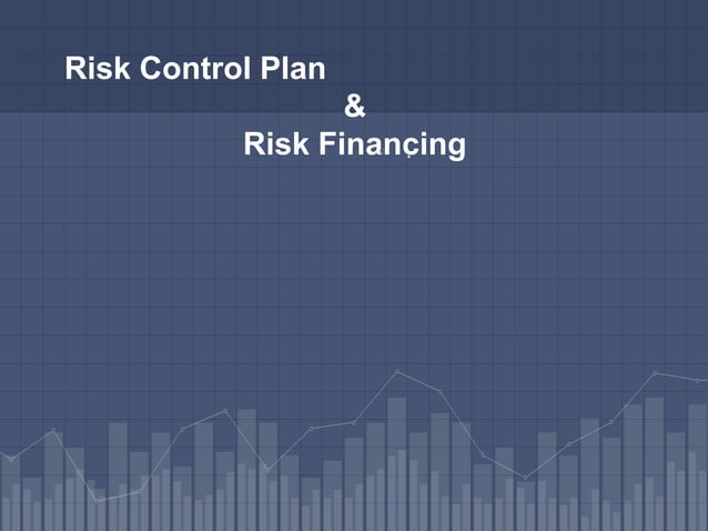 Risk control types Slides | PPT