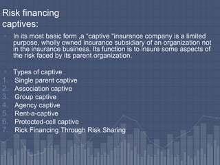 Risk control types Slides | PPT