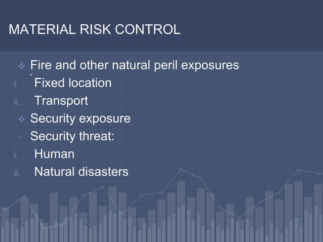 Risk control types Slides | PPT