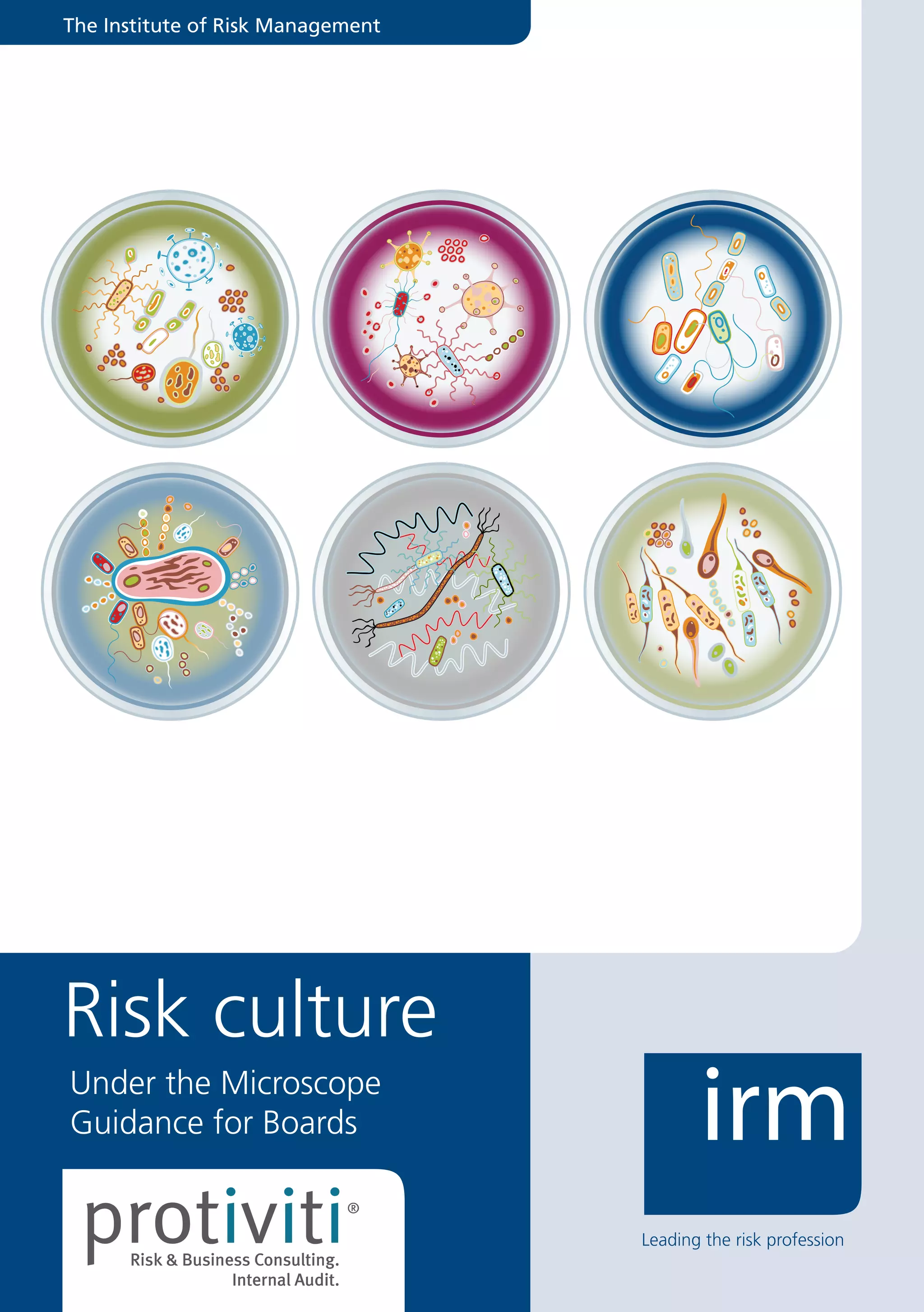Risk culture - IRM PROTIVITI | PDF