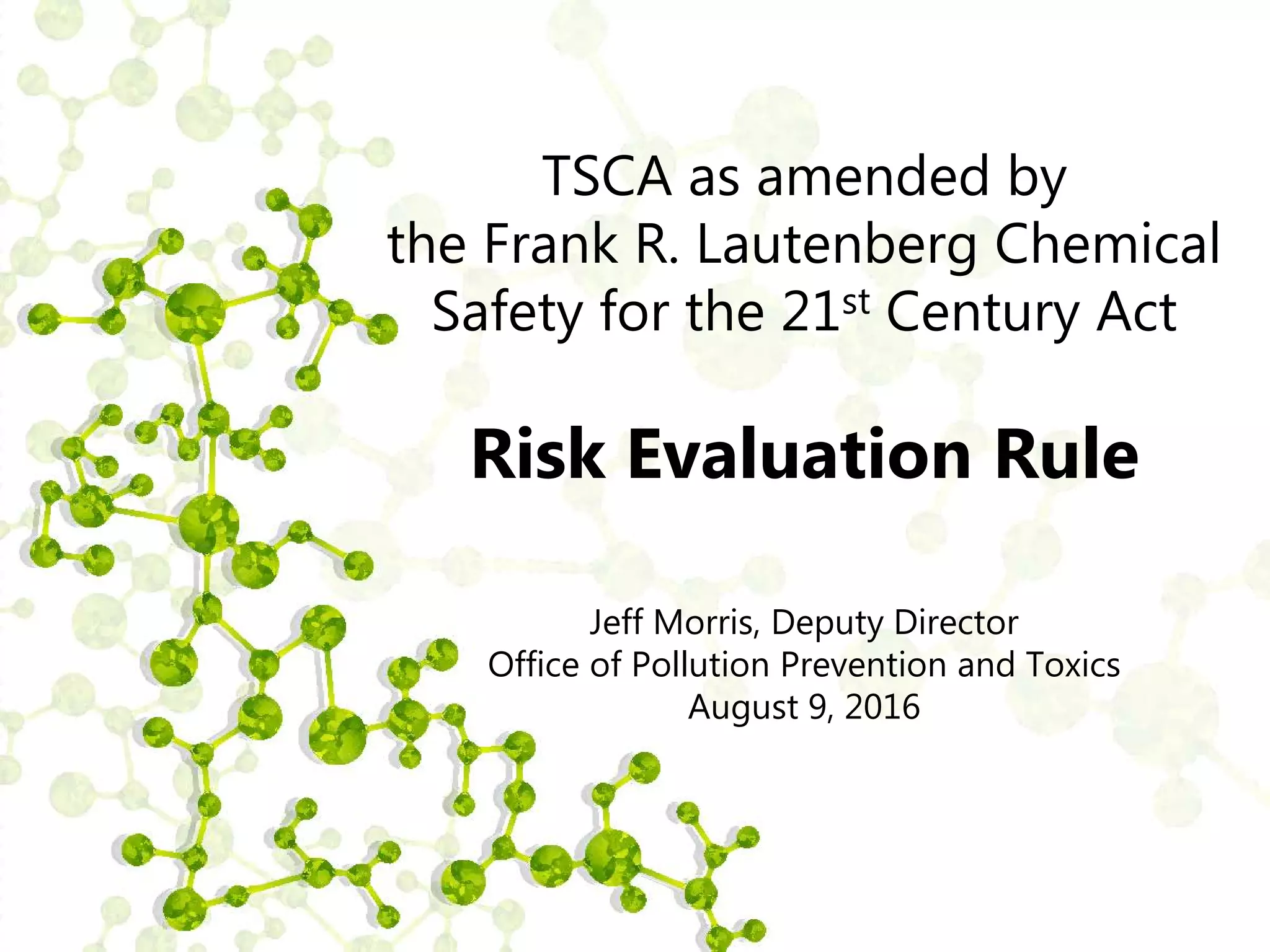 TSCA - Risk Evaluation Rule | PDF