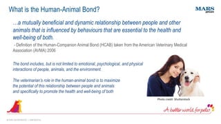 Risk factors of pet obesity: The human animal bond | PPTX