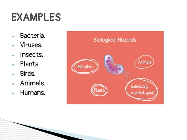 Risk,hazard,harm,types of hazards,risk assesments | PPT