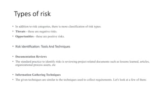 Risk Identification and analysis Presentation (2).pptx