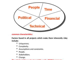 Risk in Infrastructure Projectsaaaaa212.pptx