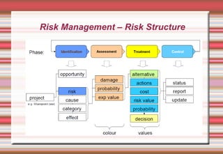 Risk management | PPT
