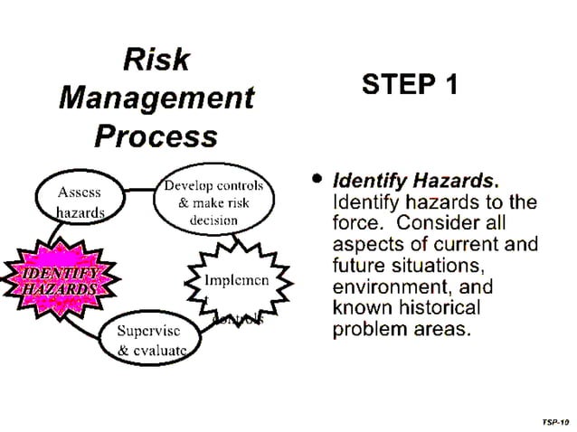 Risk Management (Sarah Olivarez-Cruz) | PPTX | Business | Business and ...