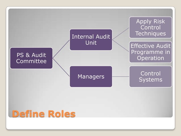 Risk management.pptx mwe internal audit unit | PPTX