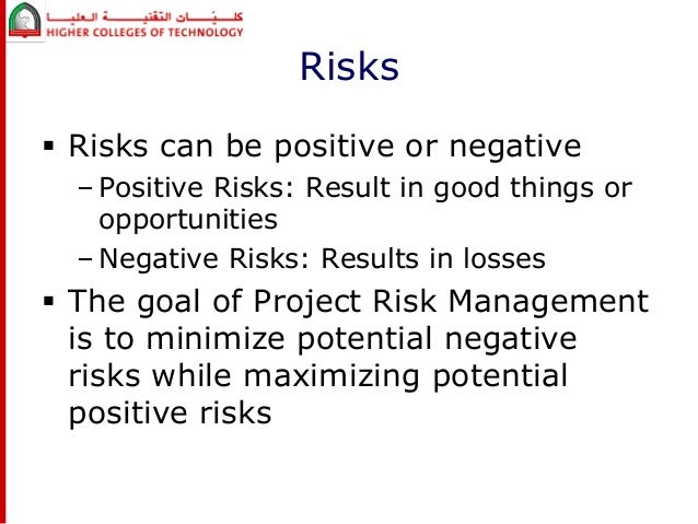 Project Risk Management