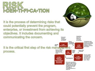 Risk management | PPTX