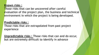 Risk Management | PPTX