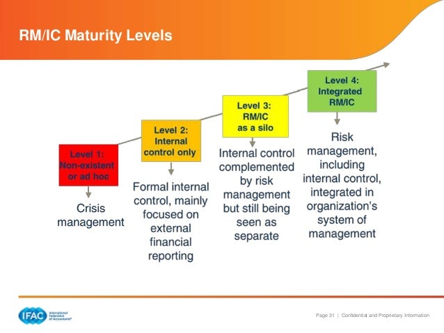 Risk Management and Internal Control in the Public Sector
