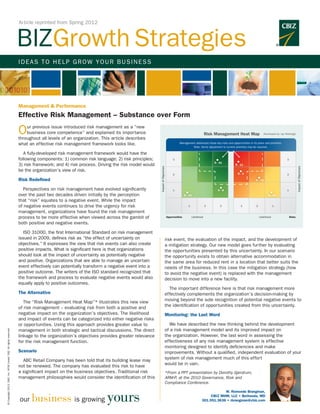 Whitepaper: Effective Risk Management – Substance over Form | PDF