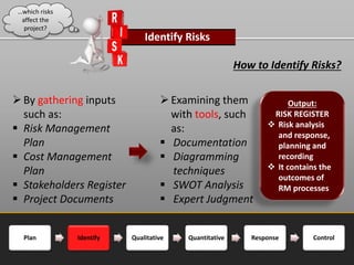 Risk Management Assignment | PPTX