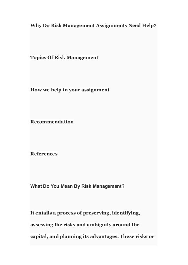 Risk Management Assignment | PDF