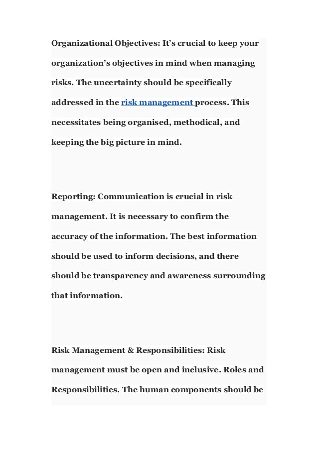 Risk Management Assignment | PDF