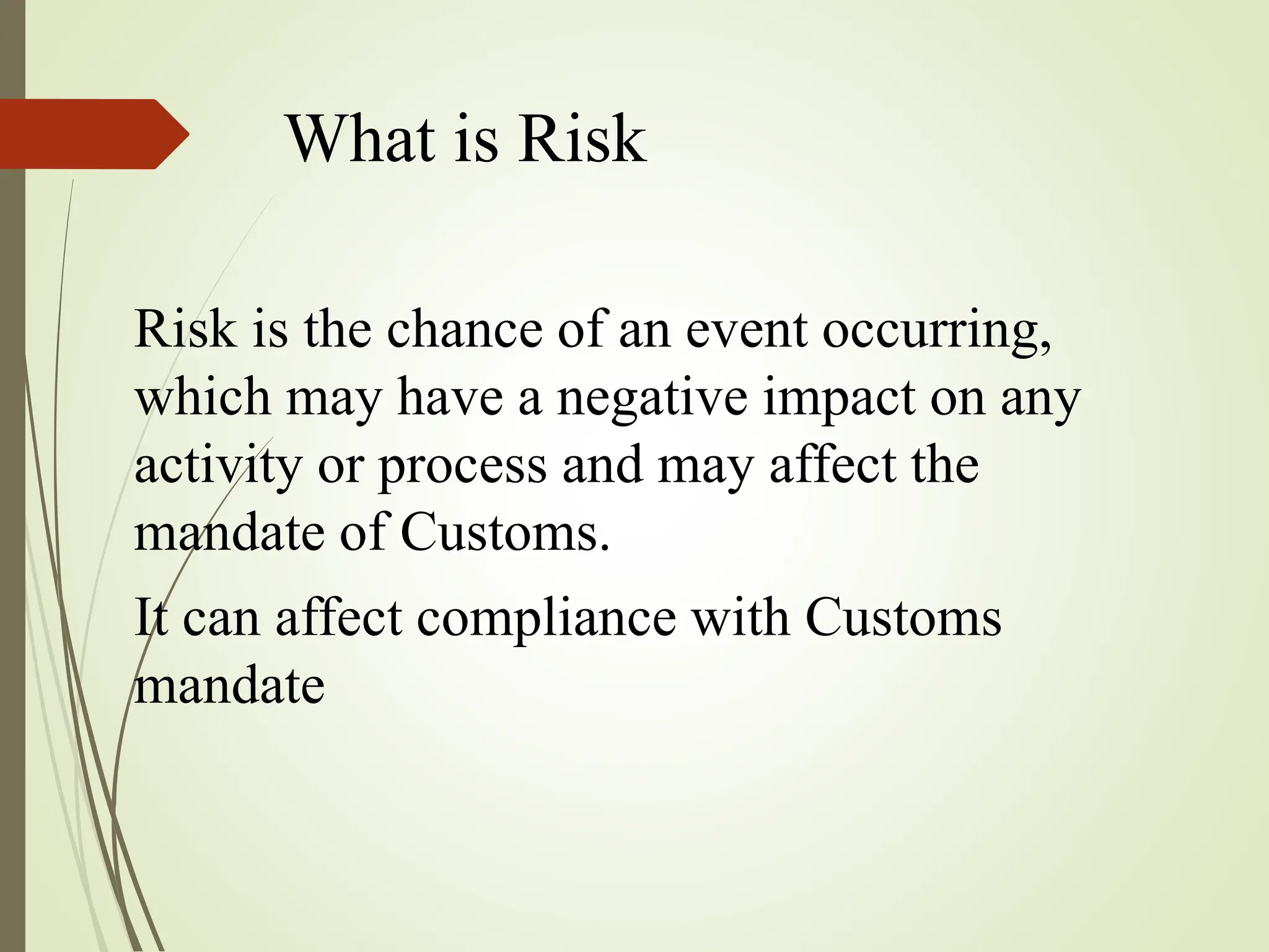 Customs Risk Management PPT.Presentation | PPTX