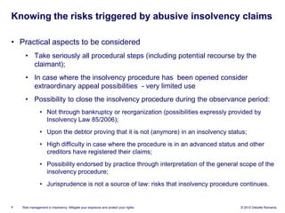 Risk Management In Insolvency | PDF