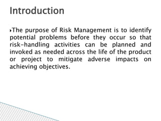 Risk management in Software Industry | PPT