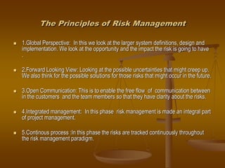 Risk management in software engineering | PPT