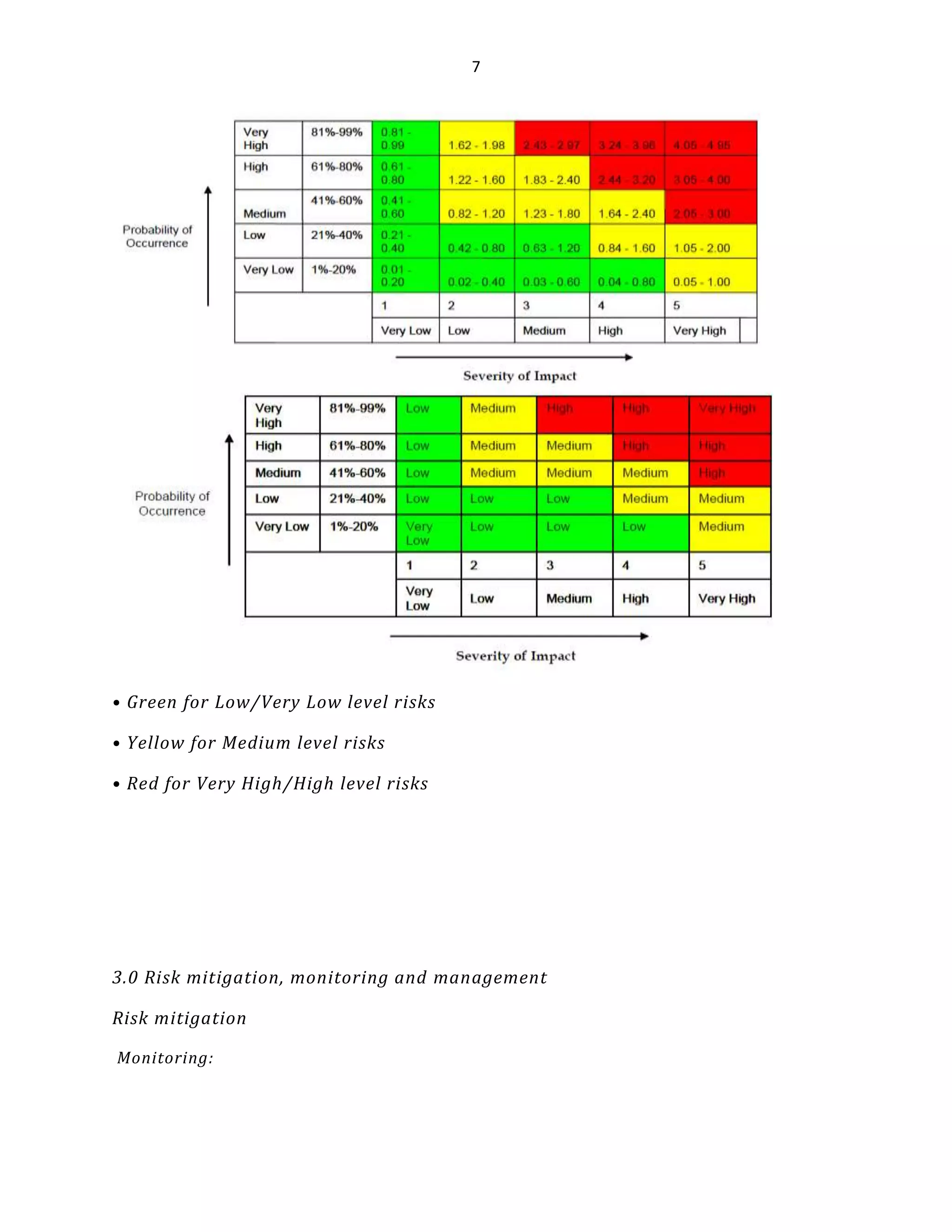 Risk management plan | DOCX