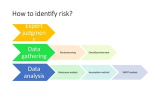 risk management principles in project management | PPTX