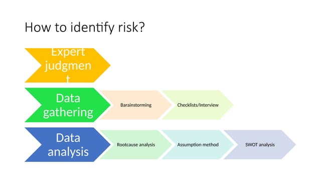 risk management principles in project management | PPTX