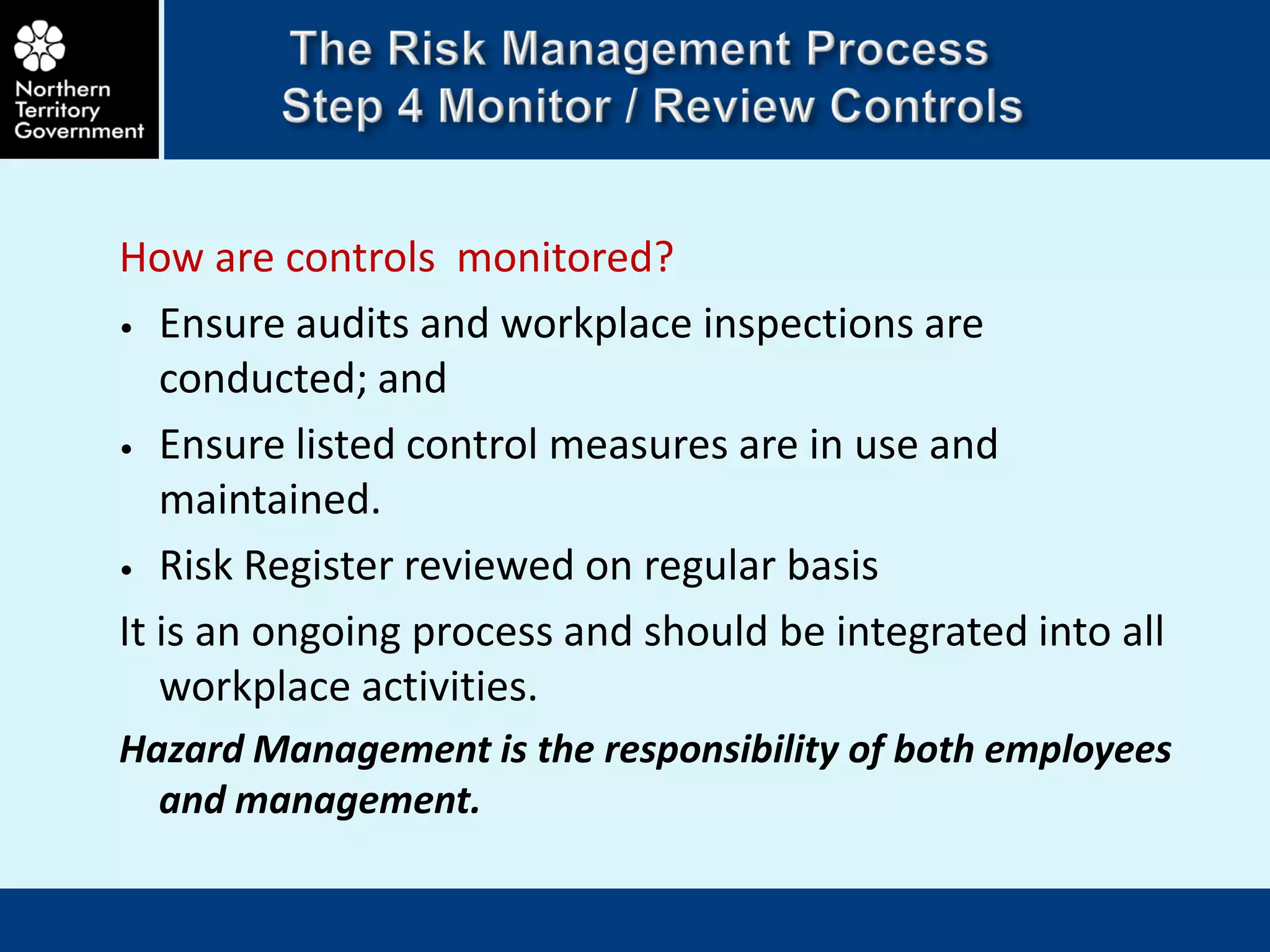Risk management process | PDF