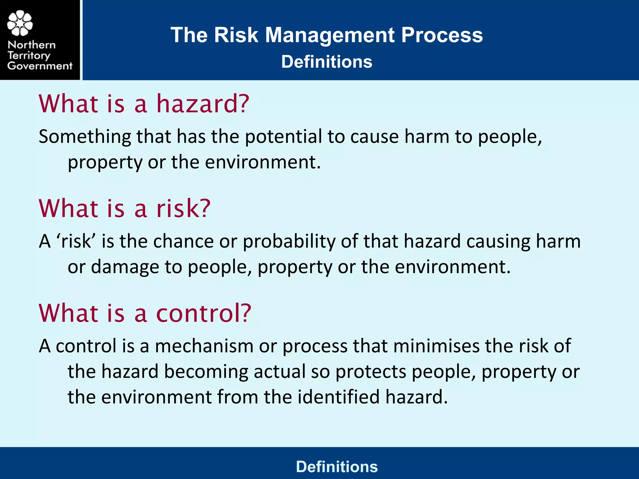 Risk management process | PDF