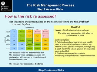 Risk management process | PDF