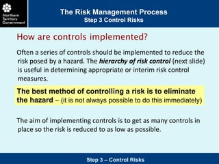 Risk management process | PDF