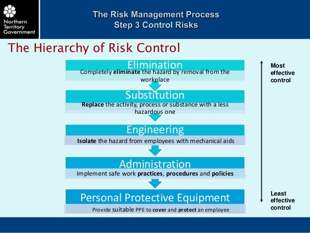 Risk management process