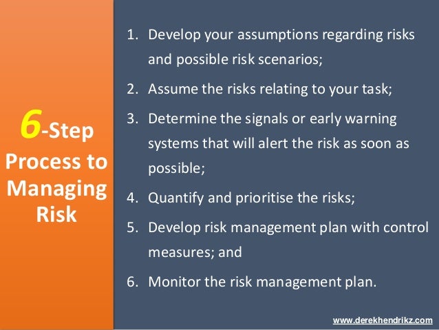 Risk Management Process by Derek Hendrikz