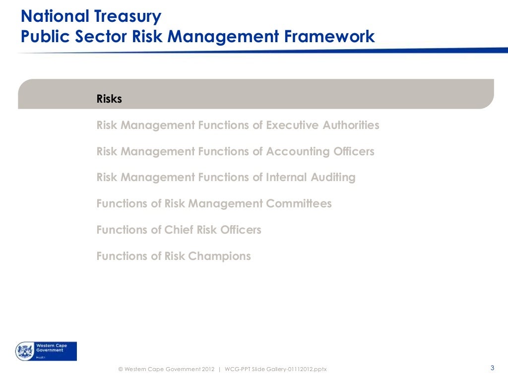 Risk management proposal
