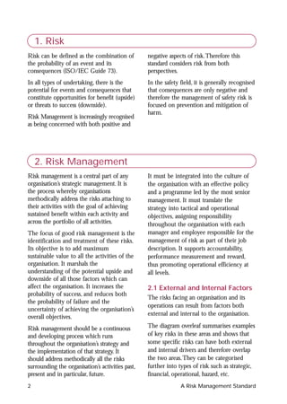 Risk management standard 030820 | PDF