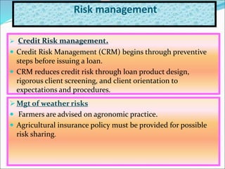 Risk management stratagious, , | PPT