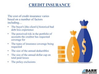 Credit Risk Mitigation Tips and Tools | PPT