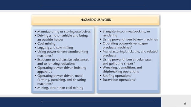 Risk Management & Worker Protection.pptx