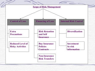 Risk mangement | PPT
