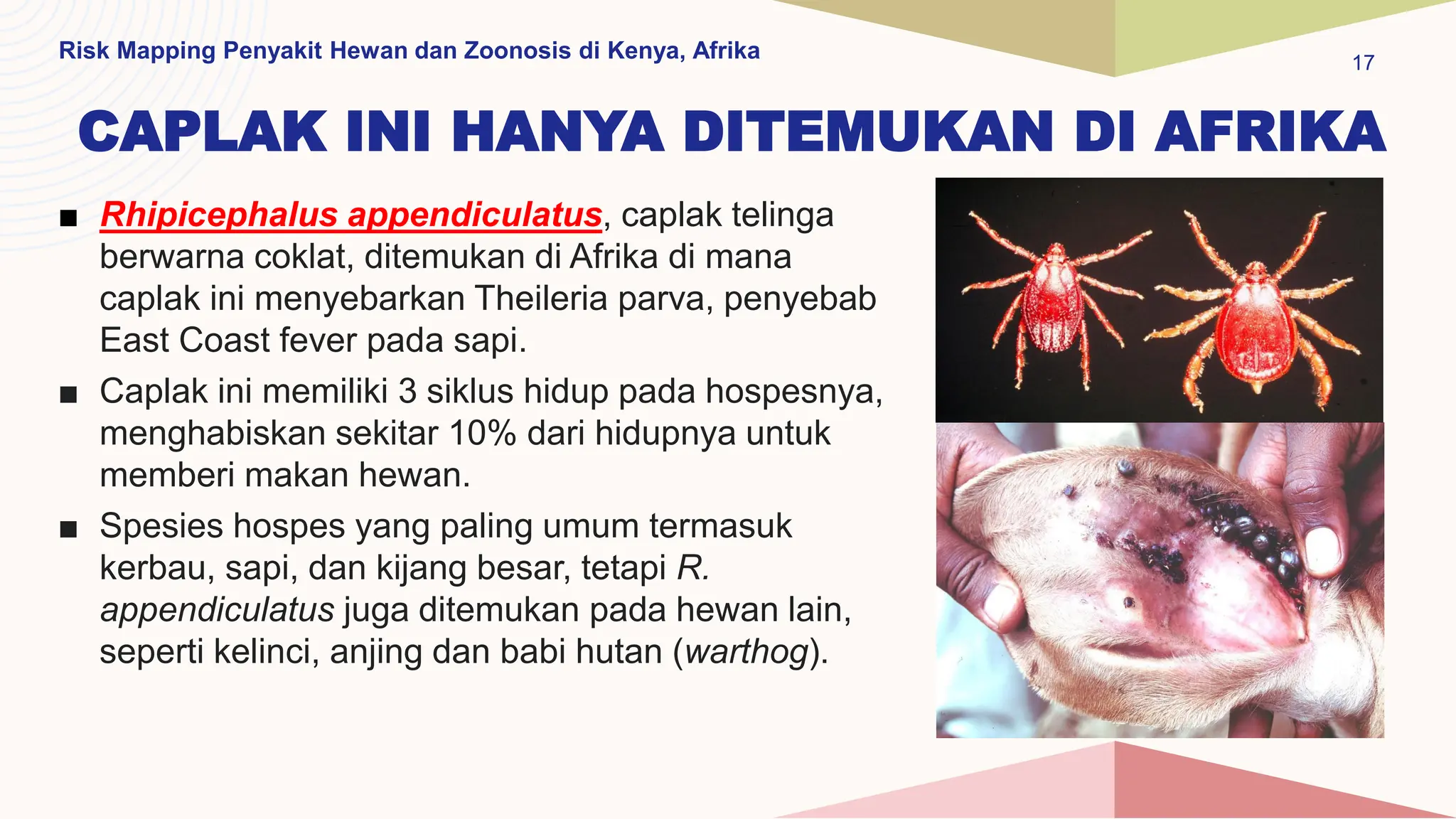 Risk mapping Penyakit Hewan dan Zoonosis di Kenya Afrika - 30 Januari ...