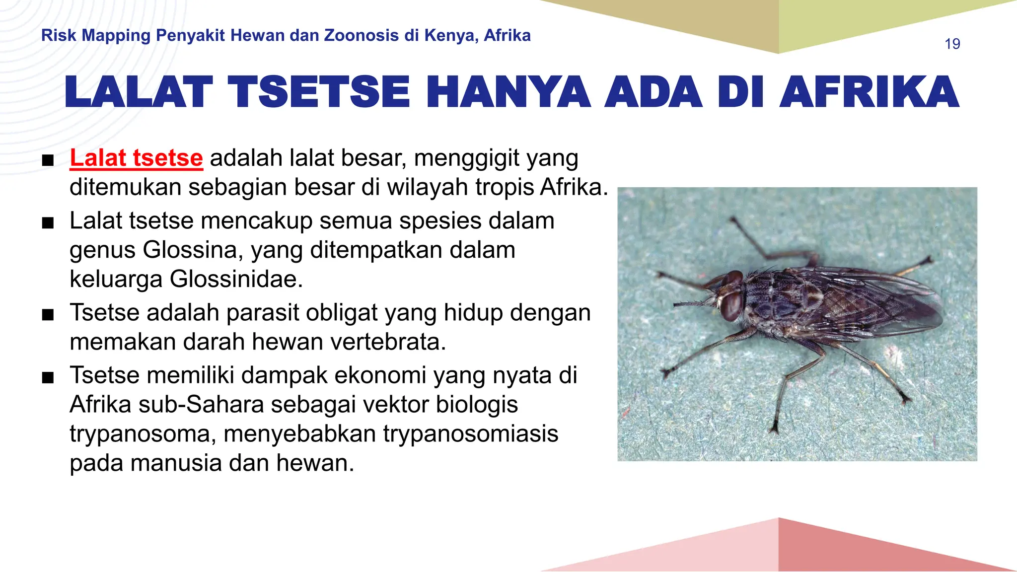Risk mapping Penyakit Hewan dan Zoonosis di Kenya Afrika - 30 Januari ...