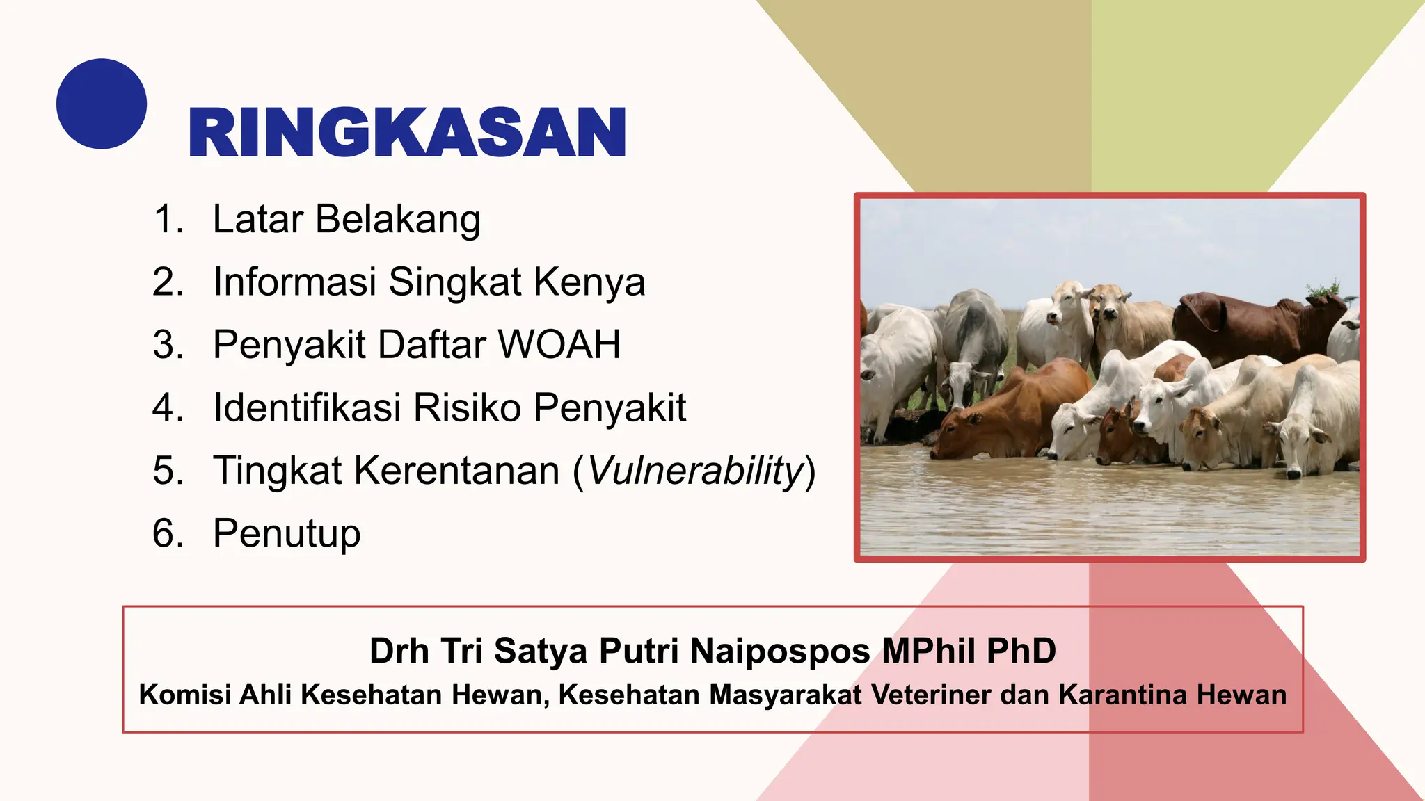 Risk mapping Penyakit Hewan dan Zoonosis di Kenya Afrika - 30 Januari ...