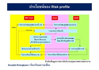 Risk matrix VS Risk profile | PDF
