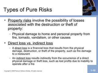 Risk mgt1 | PPT