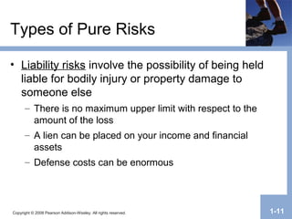 Risk mgt1 | PPT