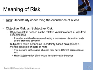 Risk mgt1 | PPT