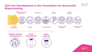 Risk Mitigation in Cell Line Development: Regulatory Considerations and ...