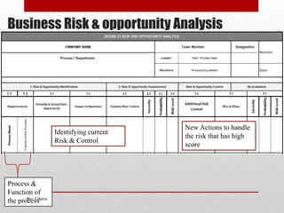 Risk & opportunity analysis | PPTX