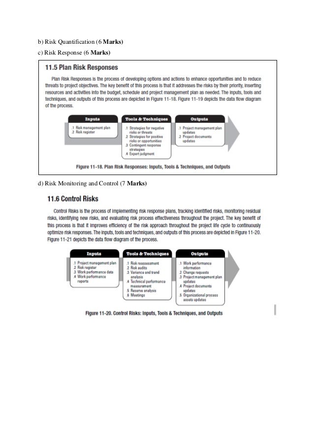 Risk management paper