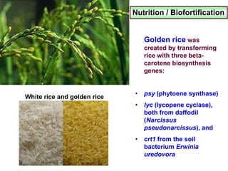 Risk perception in Agriculture Biotechnology | PPT